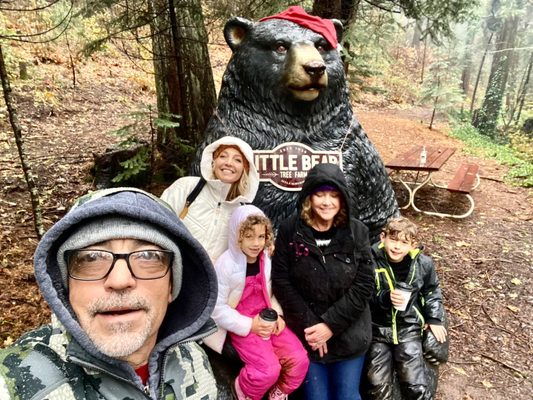 LITTLE BEAR TREE FARM - Updated November 2025 - 46 Photos & 29 Reviews ...