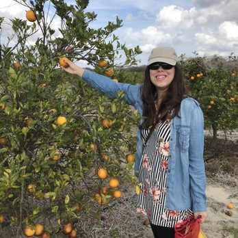 RIDGE ISLAND GROVES - Updated December 2024 - 164 Photos & 29 Reviews ...