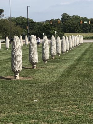 FIELD OF CORN SCULPTURE - 47 Photos & 28 Reviews - Public Art - 4995 ...