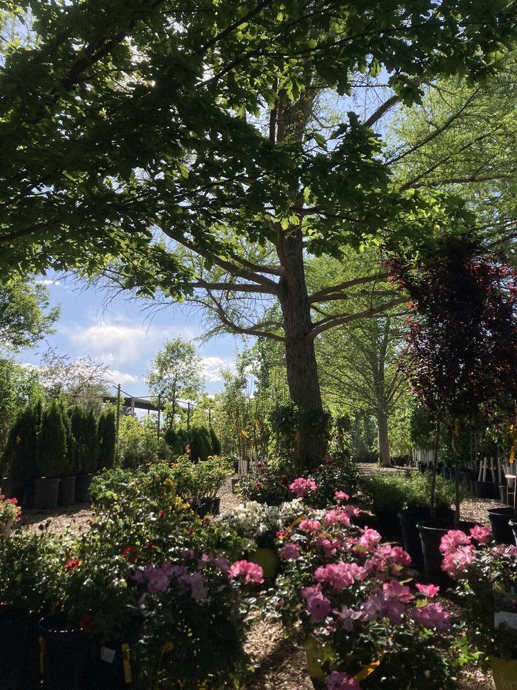 TREES THAT PLEASE - Updated May 2026 - 56 Photos & 10 Reviews - 3084 Nm ...
