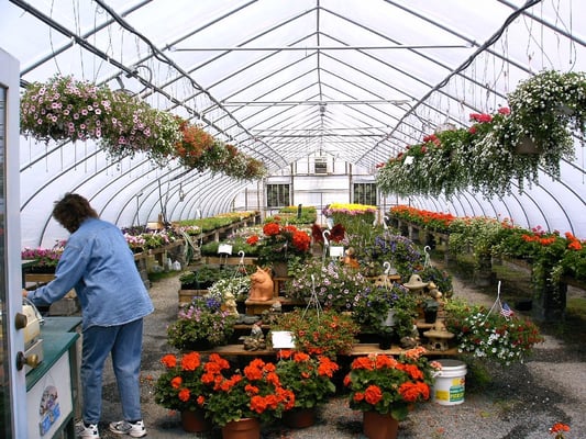 B & R FARMS / HETHERINGTON’S FARM - Updated January 2026 - 129 ...