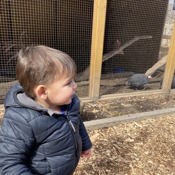 THE CENTER FOR SCIENCE TEACHING & LEARNING -TANGLEWOOD PRESERVE ...