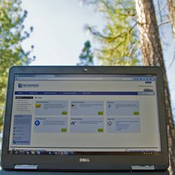 AMWINS ACCESS ADMITTED PLACEMENT SERVICES - 443 Crown Point Cir, Grass ...