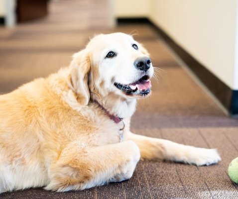 ALEX RUE INSURANCE AGENCY - 15 Photos & 14 Reviews - 9815 Antelope Rd ...