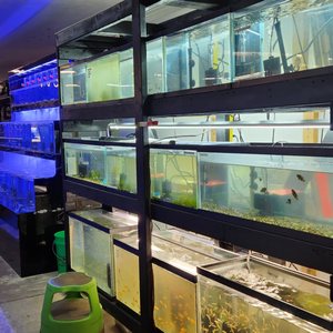 VANDRIE HOME FURNISHINGS - Updated January 2026 - 7591 S US 131 ...