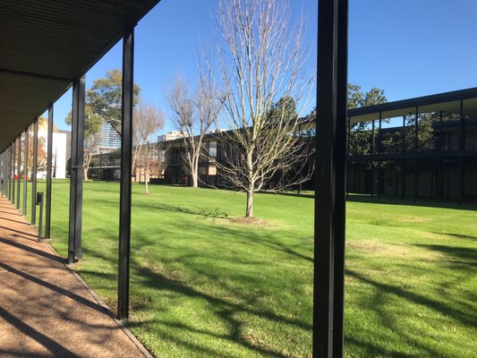 UNIVERSITY OF ST THOMAS - Updated May 2025 - 31 Photos & 18 Reviews ...