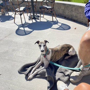 CAFE CLUB MONTVILLE - Updated March 2025 - 27 Photos & 17 Reviews - 67 ...