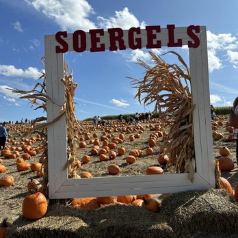 SOERGEL ORCHARDS & GARDEN CENTER - Updated October 2024 - 342 Photos ...