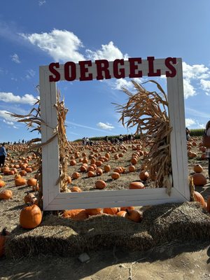 SOERGEL ORCHARDS & GARDEN CENTER - Updated August 2025 - 377 Photos ...