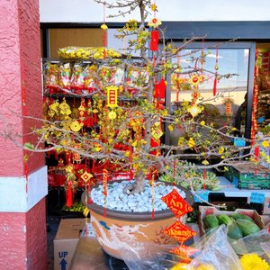 MD ORIENTAL MARKET - Updated December 2025 - 266 Photos & 167 Reviews ...