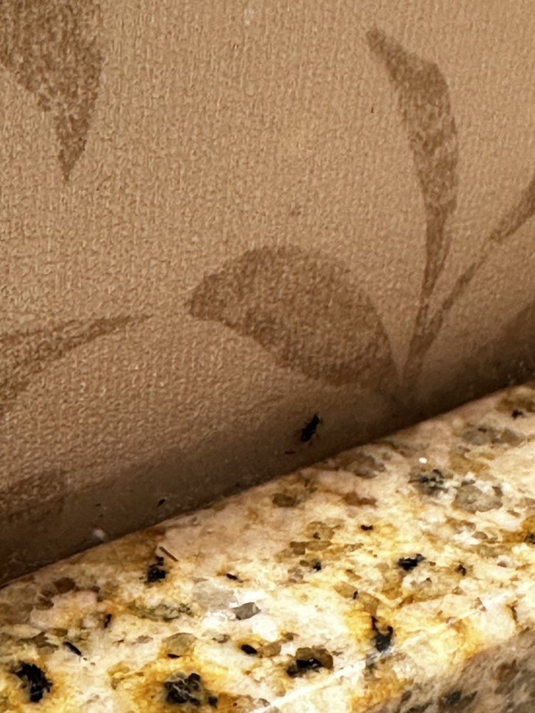 RED LION HOTEL WENATCHEE - Updated October 2025 - 169 Photos & 153 ...