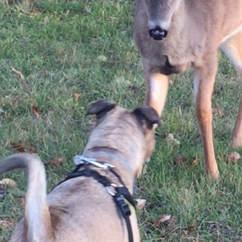 JOE PALAIA PARK - Updated January 2026 - Deal Rd And Whalepond Rd ...