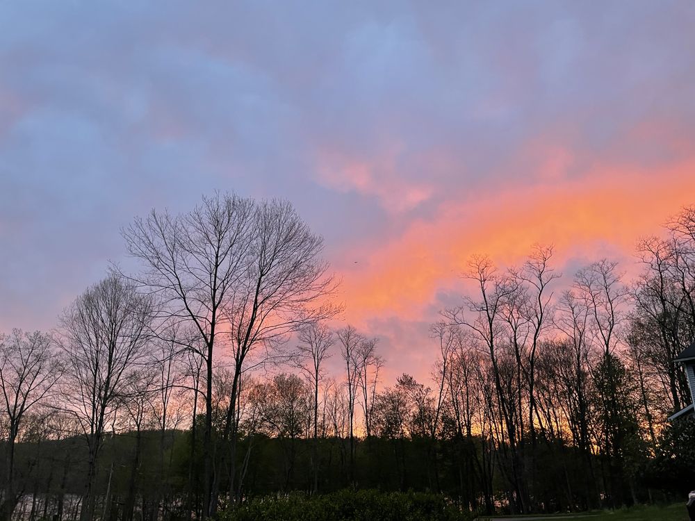 CLAUDIA ATKINSON - GINNEL REAL ESTATE - Updated July 2024 - Contact ...