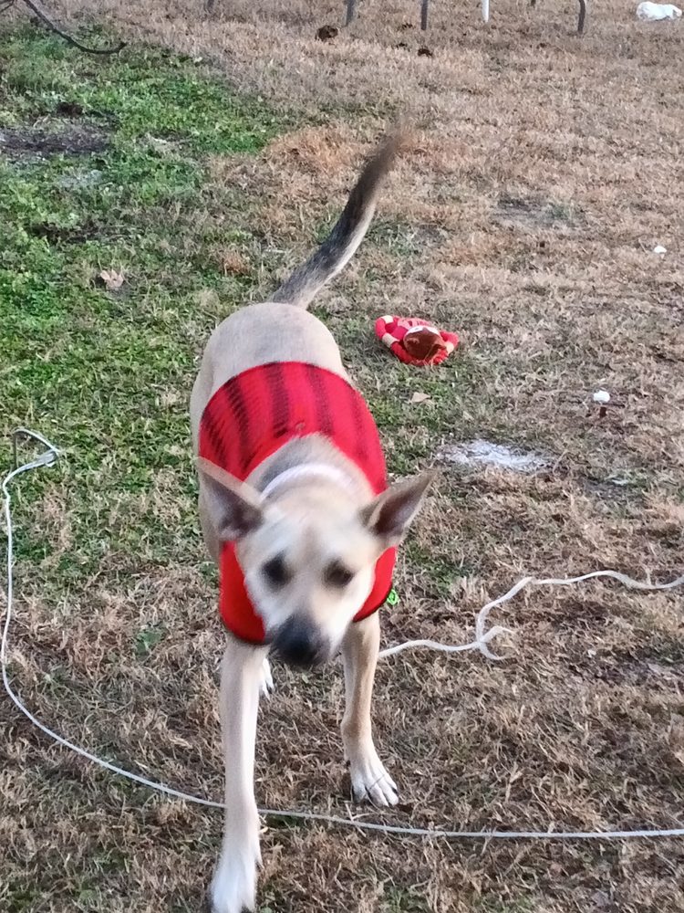 J&K’S DO IT ALL SERVICES - Updated September 2025 - Request a Quote ...