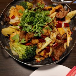 SZECHUAN GOURMET - Updated May 2025 - 487 Photos & 319 Reviews - 1735 E ...