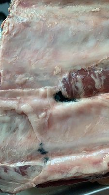 THE BEEF SHED - 26 Paver Circle, Malaga Western Australia, Australia ...