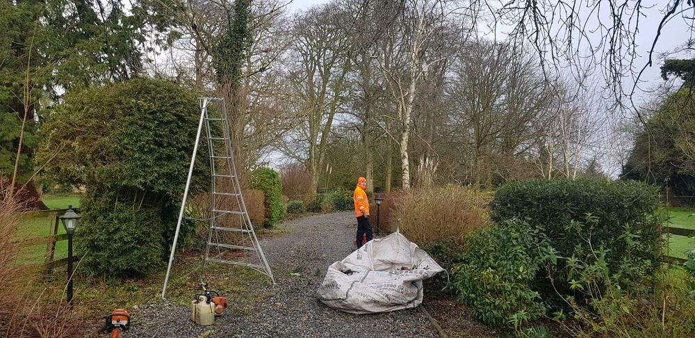 TOWER TREE SERVICES - 38 Photos - Finglas South, Finglas, Co. Dublin ...