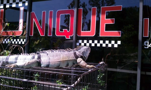 UNIQUE IMPORTS - Updated October 2025 - 14 Photos & 58 Reviews - 25800 ...