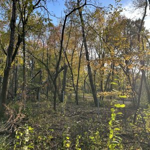 BLACKHAWK PARK - Updated September 2025 - 41 Photos - 1629 Murphy Pkwy ...