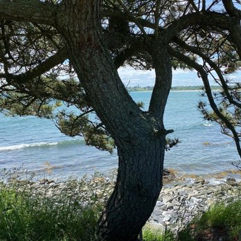 SACHUEST POINT NATIONAL WILDLIFE REFUGE - Updated June 2025 - 193 ...