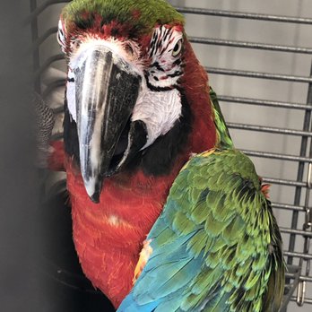 MERCED FRUIT BARN - Updated April 2025 - 43 Photos & 26 Reviews - 4526 ...