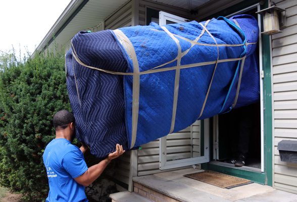 ALPHA MOVING & STORAGE - Updated December 2025 - 102 Photos & 182 ...