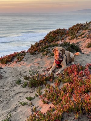 FORT FUNSTON - Updated February 2025 - 2666 Photos & 1177 Reviews - 206 ...