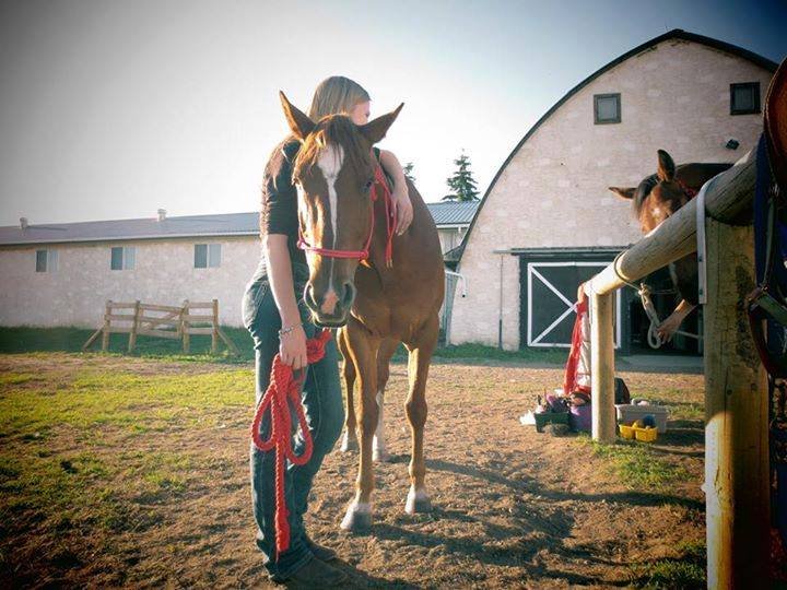 HAWKSTONE STABLES - Updated December 2025 - 51210 Range Road 270 ...