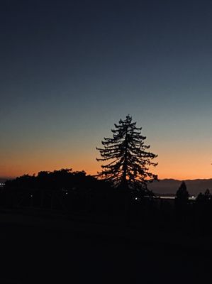 CODORNICES PARK - Updated November 2025 - 162 Photos & 160 Reviews ...