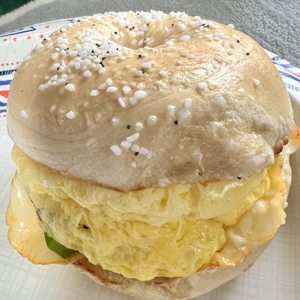 BAGEL SPOT - Updated June 2025 - 43 Photos & 37 Reviews - 3010 S Adams ...