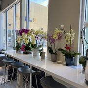 THE ALLEY BOBA TEA - ELK GROVE - 273 Photos & 88 Reviews - 7440 Laguna ...