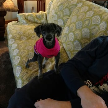 PORTAGE COUNTY ANIMAL PROTECTIVE LEAGUE - Updated July 2025 - 8122 ...