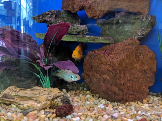 WIXOM PUBLIC LIBRARY - Updated September 2025 - 23 Photos - 49015 ...