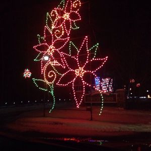 BRIGHT NIGHTS AT FOREST PARK - 107 Photos & 49 Reviews - 300 Sumner Ave ...