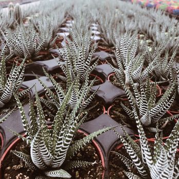 ISAAC FARMS - Updated January 2025 - 446 Photos & 111 Reviews - 18800 ...