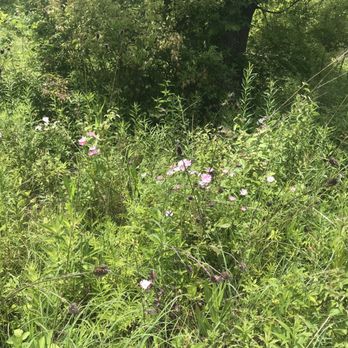 SKILES TEST NATURE PARK - Updated January 2026 - 32 Photos & 10 Reviews ...