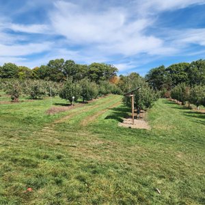 MEADOW LEDGE FARM - Updated October 2025 - 612 Route 129, Loudon, New ...