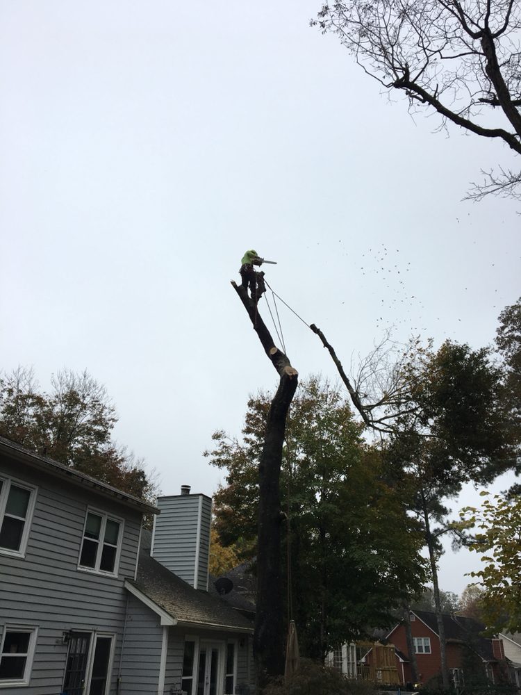 YS TREE SERVICE - Updated March 2024 - 39 Photos - Woodstock, Georgia ...