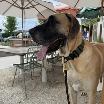 POSTBOY - Updated December 2025 - 172 Photos & 102 Reviews - 207 N ...