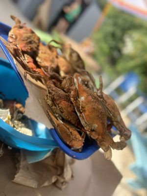 THE 10 BEST Things to Do in Red Point, MD - 2025 - Yelp