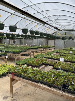 DIGGER O’DELL NURSERIES - Updated December 2025 - 55 Photos & 14 ...