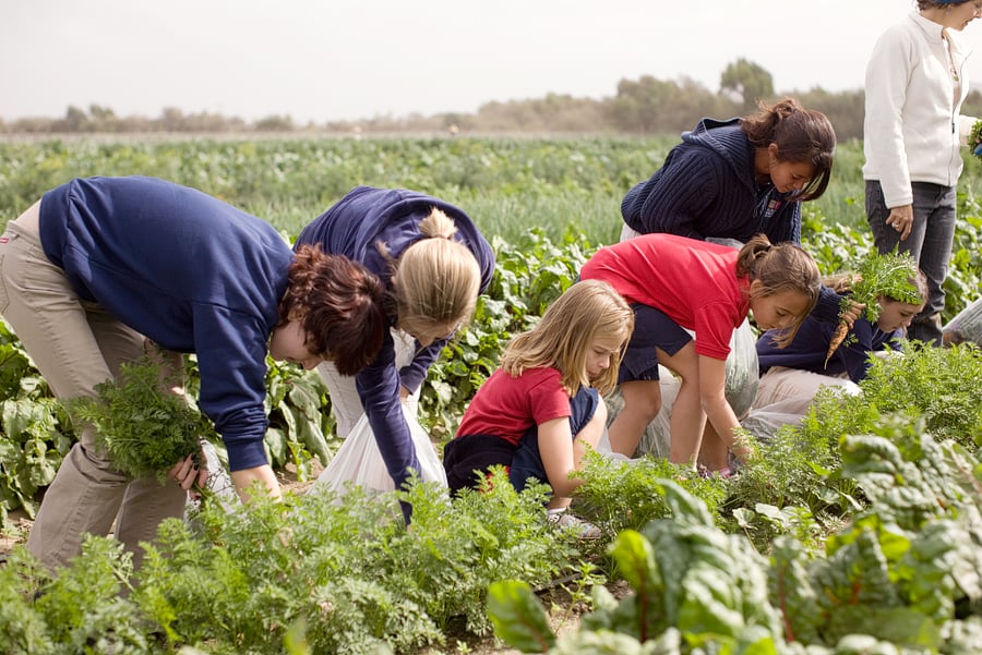 ALBERT EINSTEIN ACADEMY CHARTER ELEMENTARY SCHOOL - Updated October ...