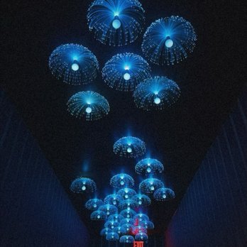 WAGYU GRILL AYCE - Updated October 2025 - 175 Photos & 47 Reviews - 500 ...