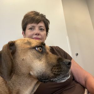 STEVEN W BAAK, MD - Updated July 2025 - 33 Photos - 3440 DePaul Ln ...