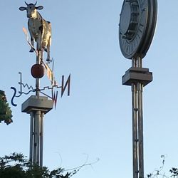 Davis Square - Updated COVID-19 Hours & Services - 29 Photos & 59 ...