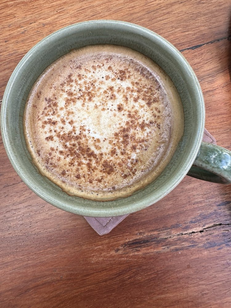 THE JUNGLE - Updated August 2024 - Akumal, Quintana Roo, Mexico ...