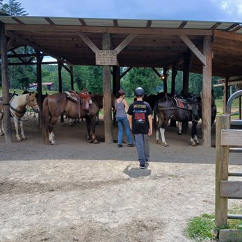 BLUE RIDGE MOUNTAIN TRAIL RIDES - Updated December 2025 - 186 Photos ...