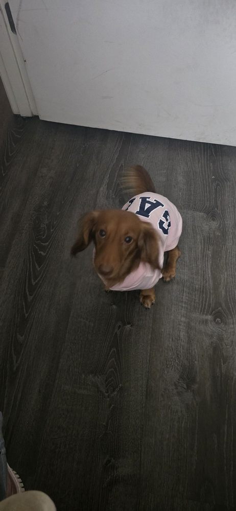 MAGIC PET PARLOR - Updated October 2025 - 3070 Cypress Gardens Rd ...