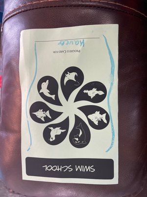 MIKE SHELLITO INDOOR POOL - Updated January 2025 - 26 Photos & 61 ...