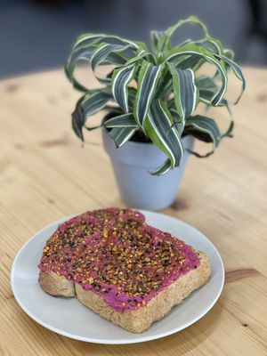 MANE COFFEE - 290 Photos & 173 Reviews - 500 NE Spanish River Blvd ...